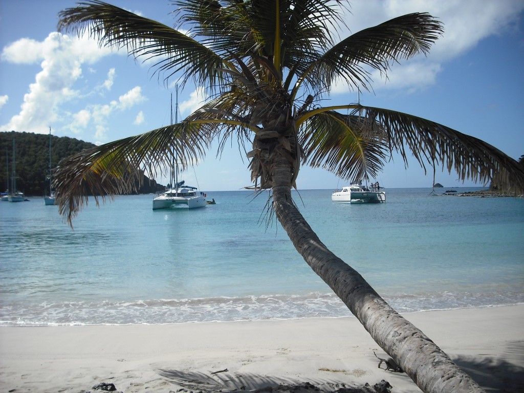 Sailing Tips for Single Sailors - Lovesail - Seek like-minded sailing ...